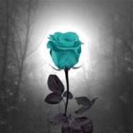 Brief biography of Sheikh Al-Albani | IslamicBoard